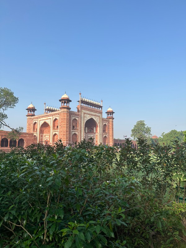 India | 2023 – L.M.Beatty